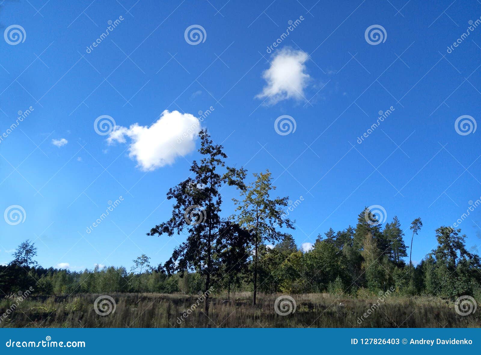 Heavenly Purity. Background of Elements of Nature. Stock Image - Image ...