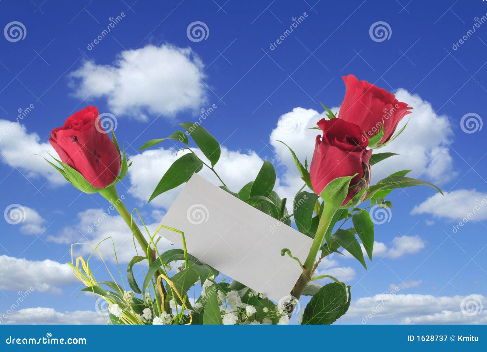 Heavenly roses stock image. Image of bunch, occasion, note - 1628737