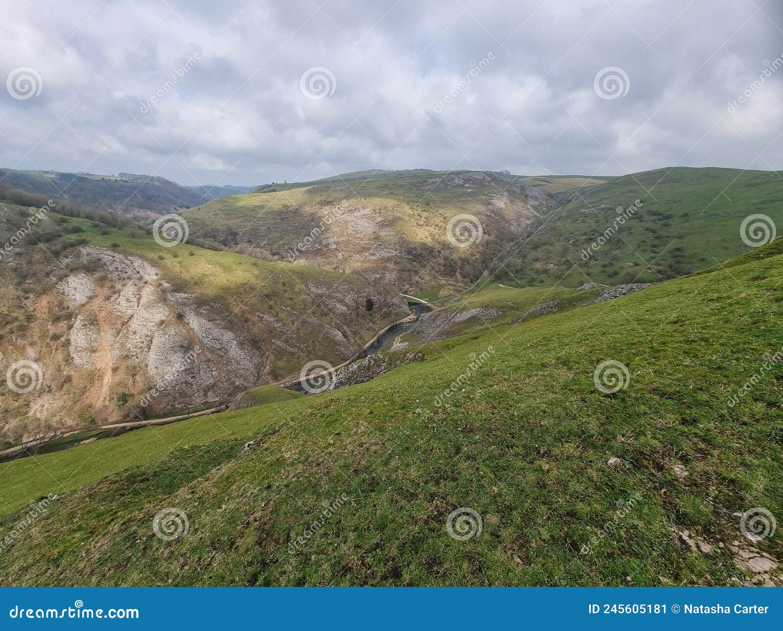 Heavenly view stock image. Image of view, green, stream - 245605181
