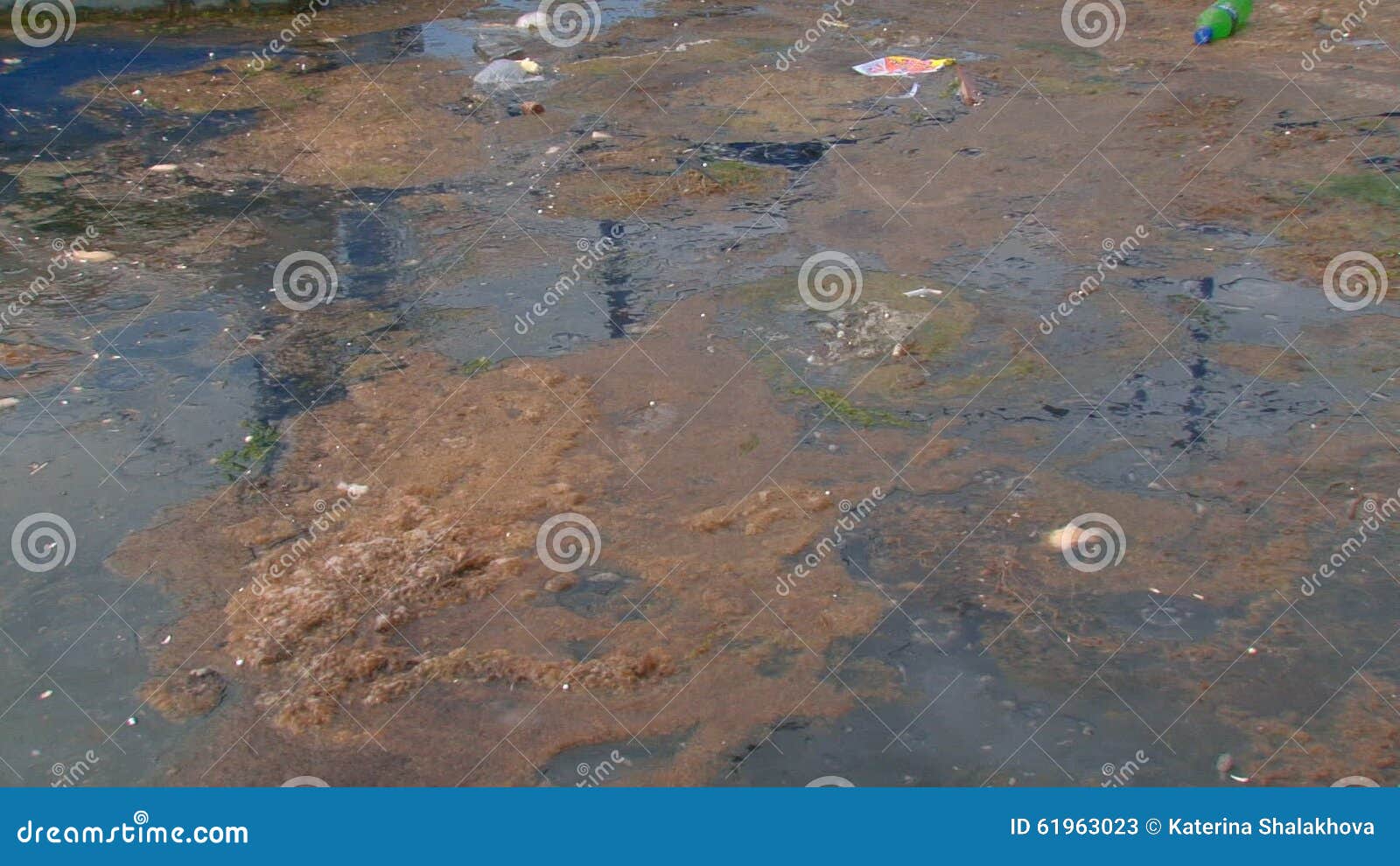 Heavily Polluted Water Surface Stock Video - Video of beach ...