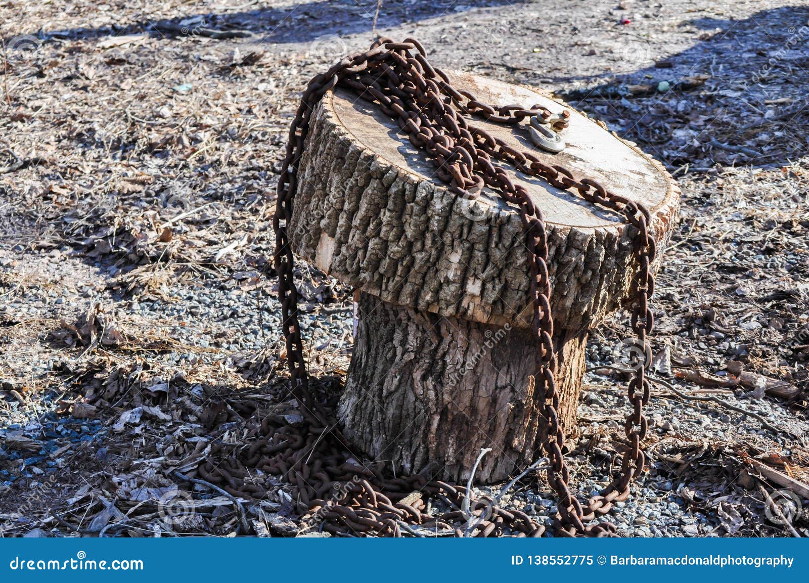 Heavy Rusted Chain on a Tree Stump in the Woods Stock Image - Image of ...