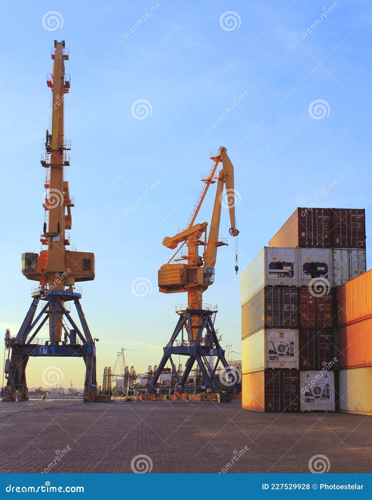 Heavy Cranes and Containers at the Port Editorial Stock Photo - Image ...