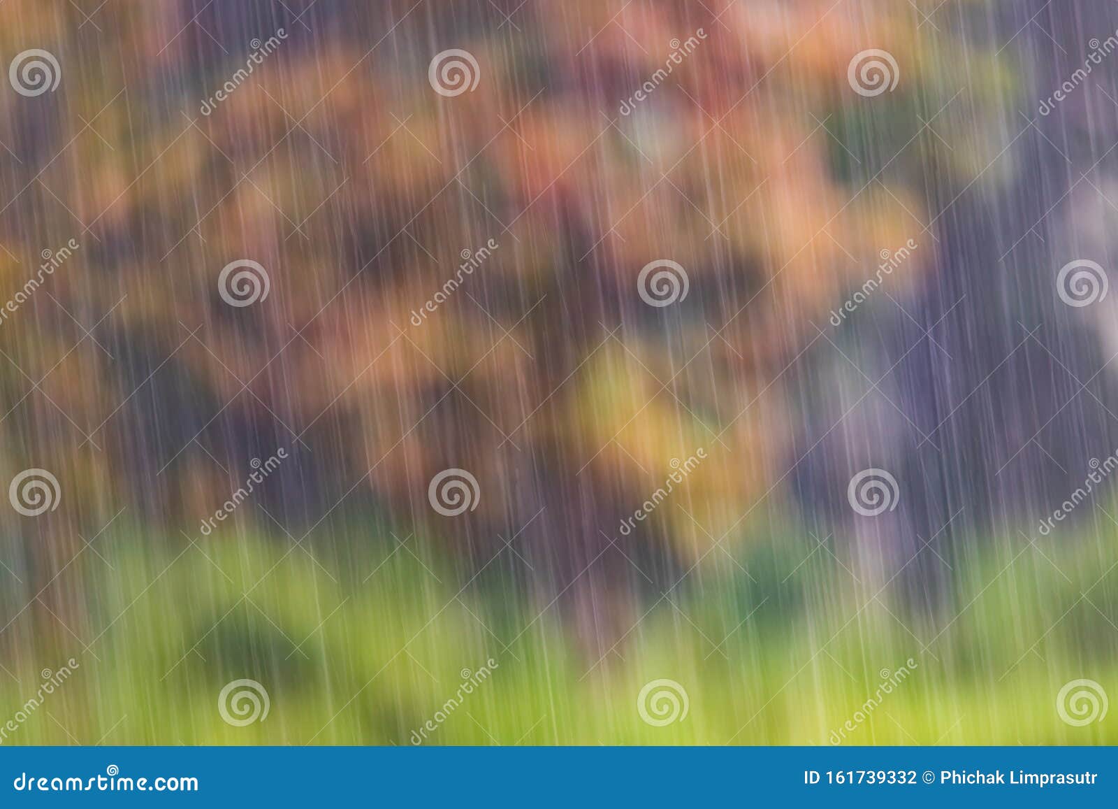 Heavy Downpour of Rain in Tropical Forest Stock Photo - Image of asia ...