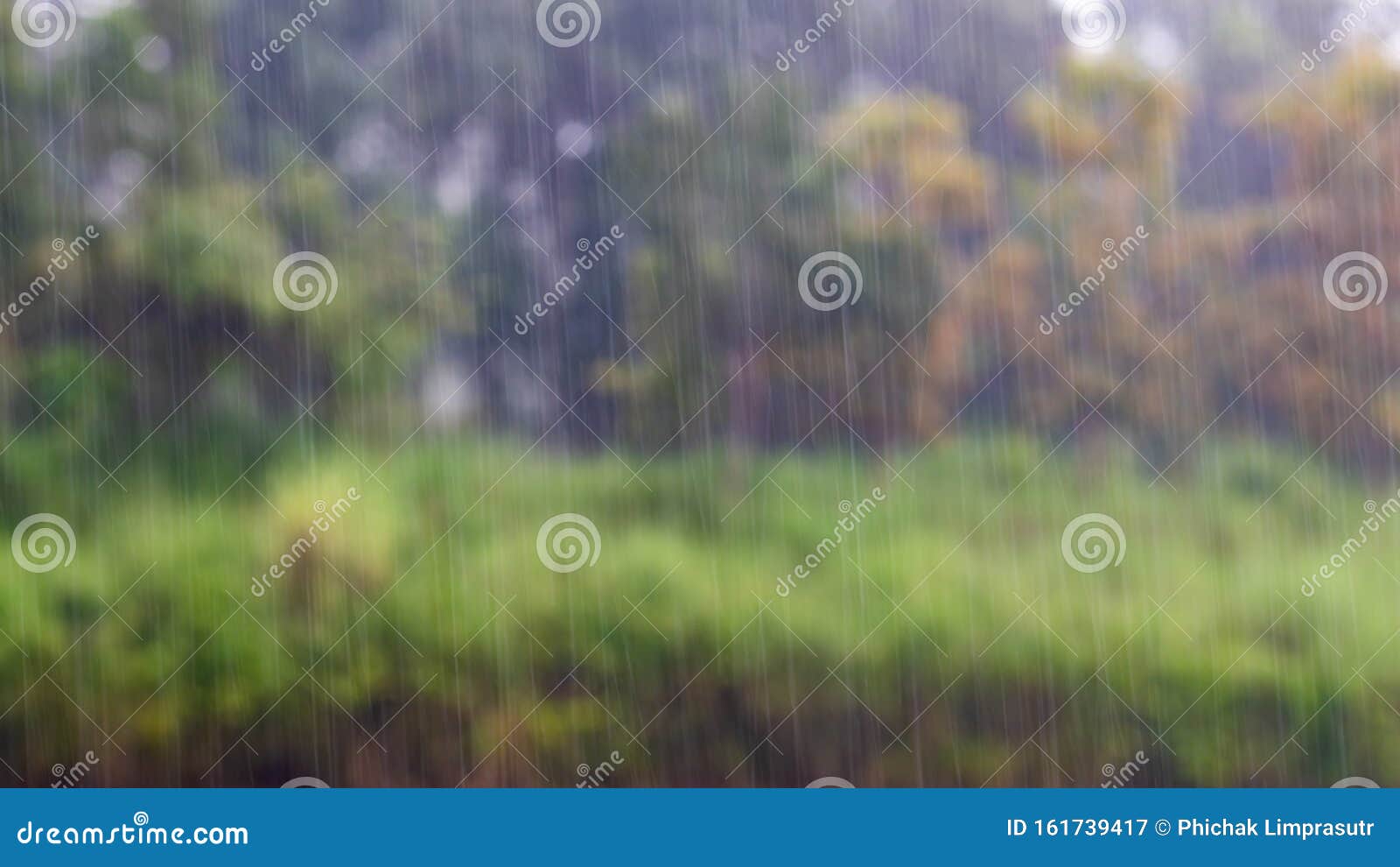 Heavy Downpour of Rain in Tropical Forest Stock Image - Image of chiang ...