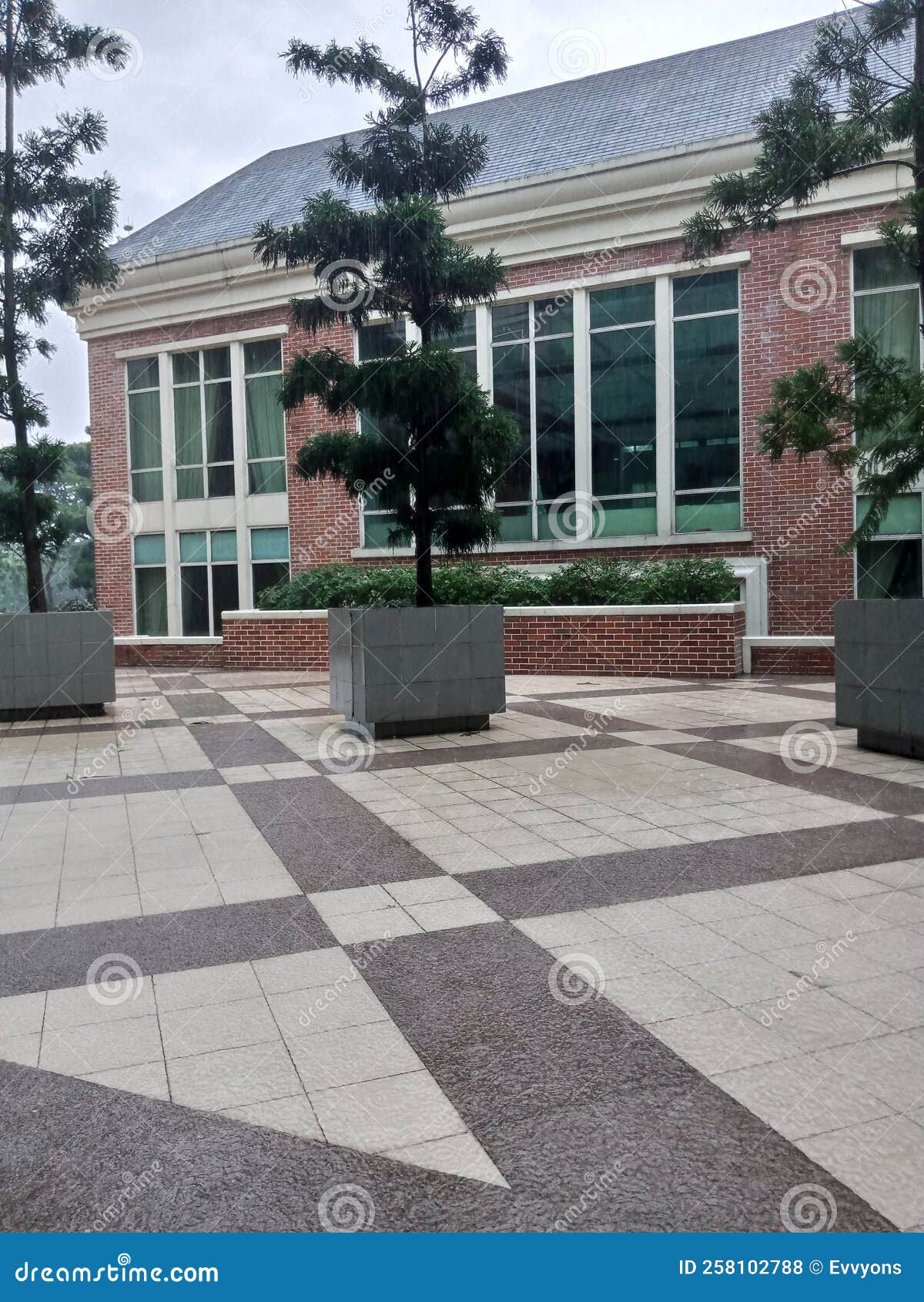 Heavy Drizzle Outside the Building with a View of the Wet Trees Stock ...