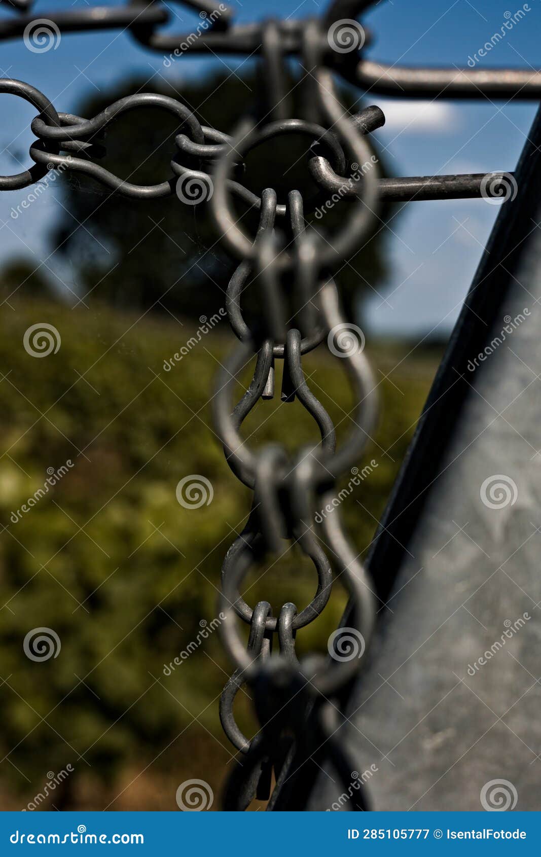 Heavy Duty Chain in a Vineyard Stock Image - Image of connect, attach ...