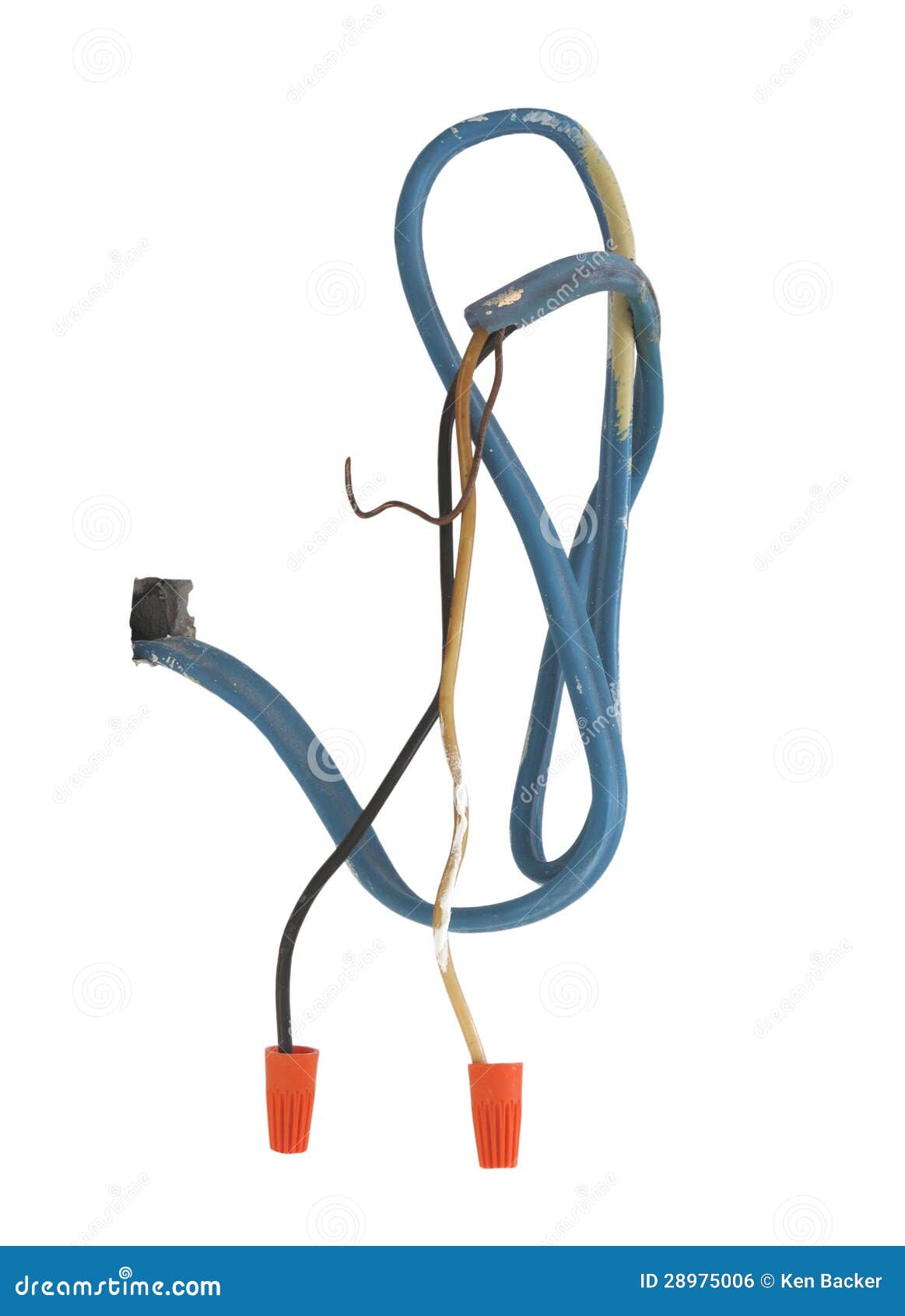 Heavy Electrical Wires Coming from Wall. Stock Photo - Image of marr ...