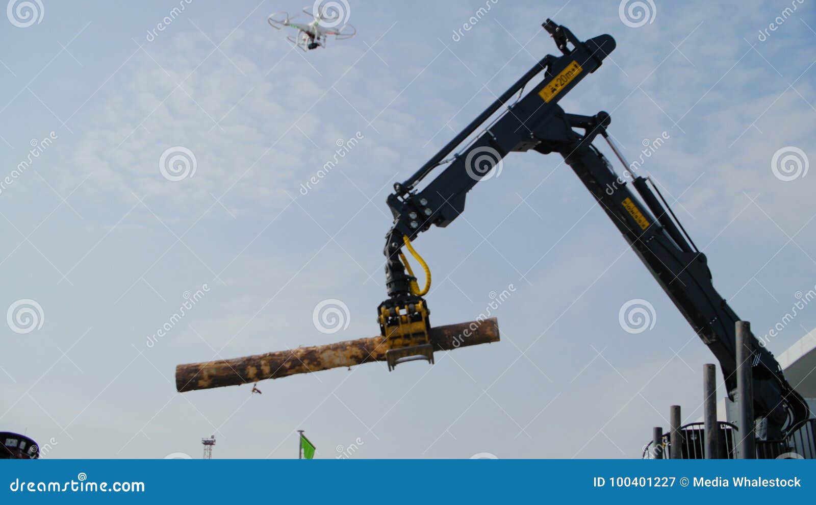 Heavy Equipment Loading with Clipper Cut Logs. Large Log Loader and ...