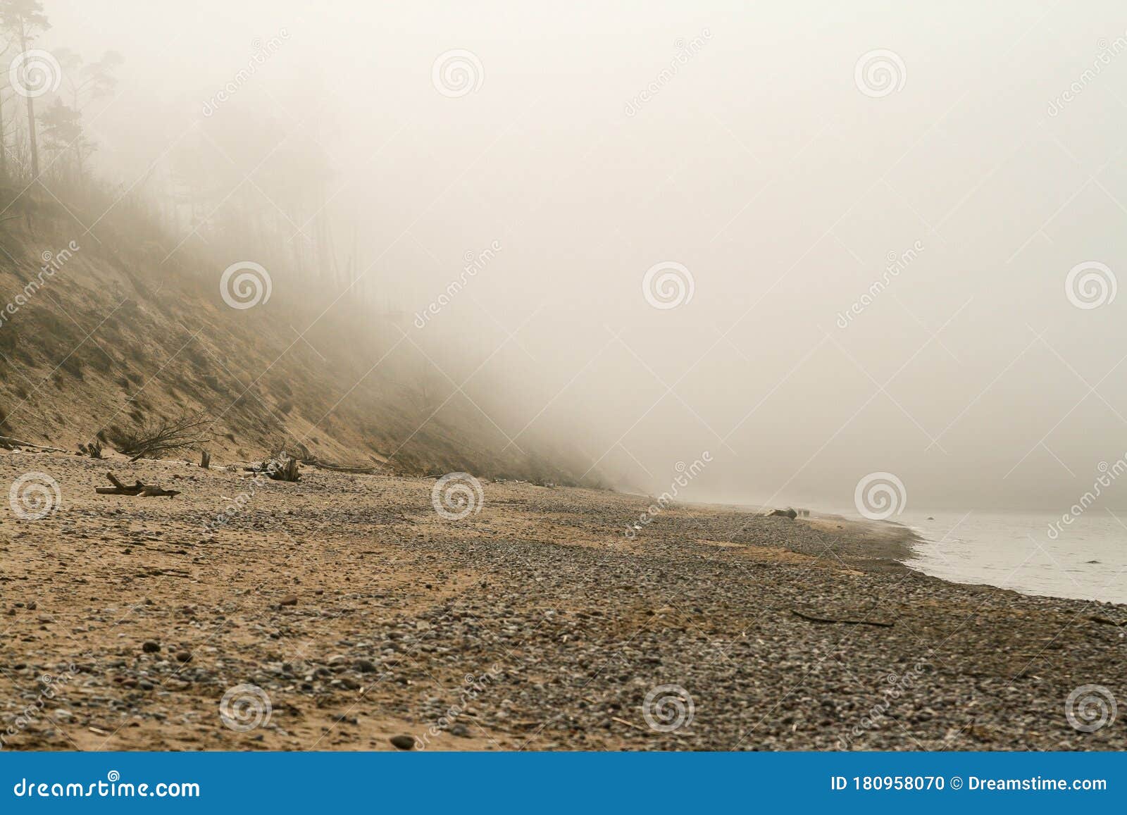 Heavy Fog on a Stranded Beach Stock Photo - Image of pebbles, driftwood ...