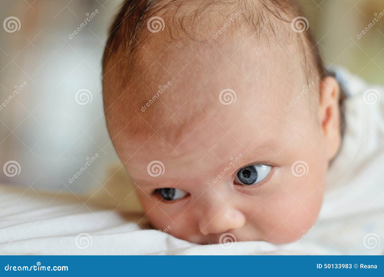 Heavy haed stock image. Image of infant, head, care, infancy - 50133983
