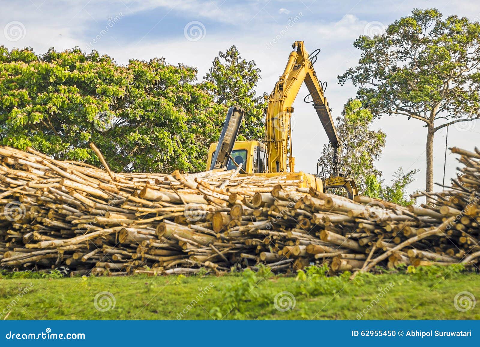 Heavy Machine Lifting Logs - Used for Deforestation in Clearing ...