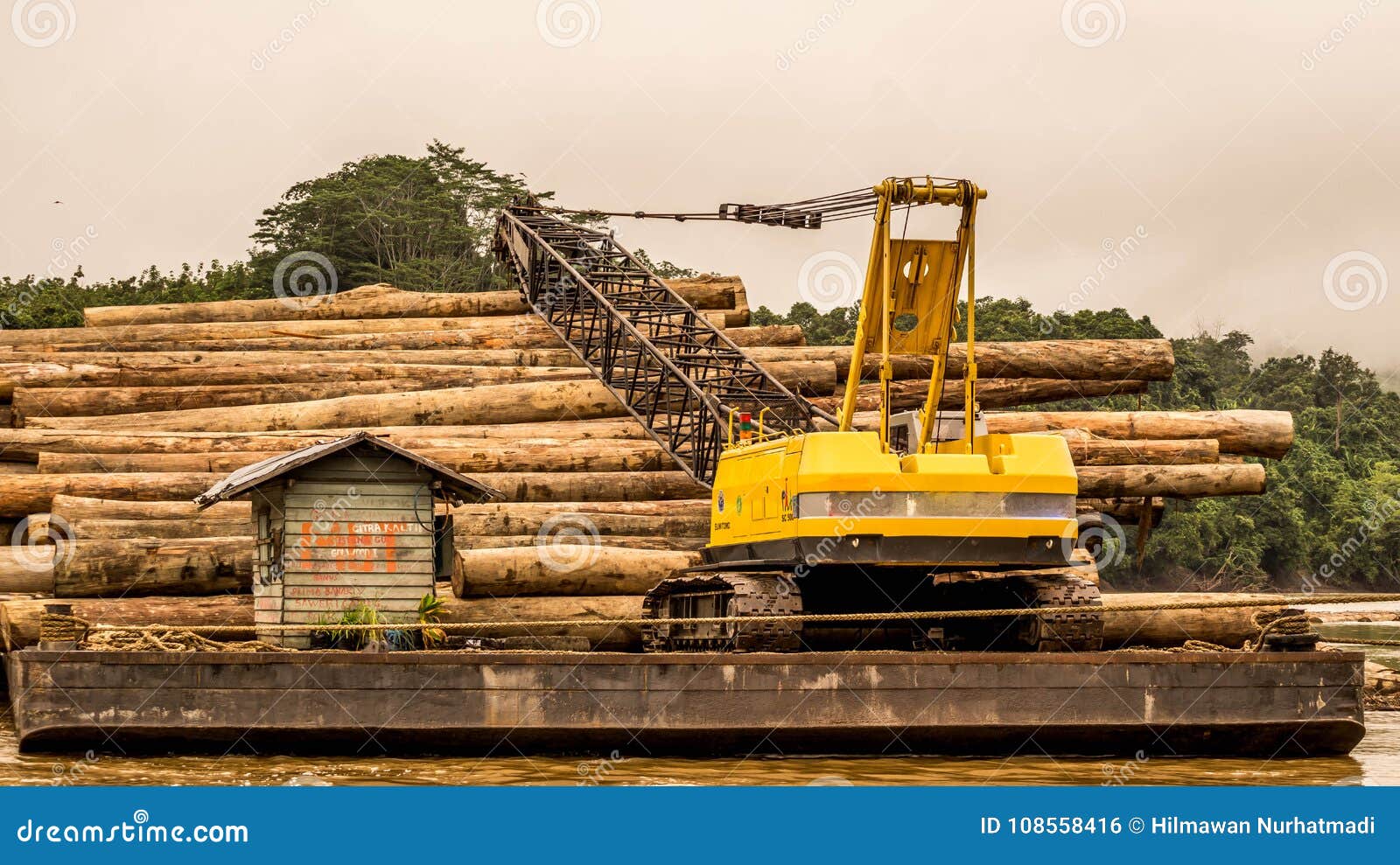 Heavy Machinery Loading Timber into the Barge Stock Photo - Image of ...