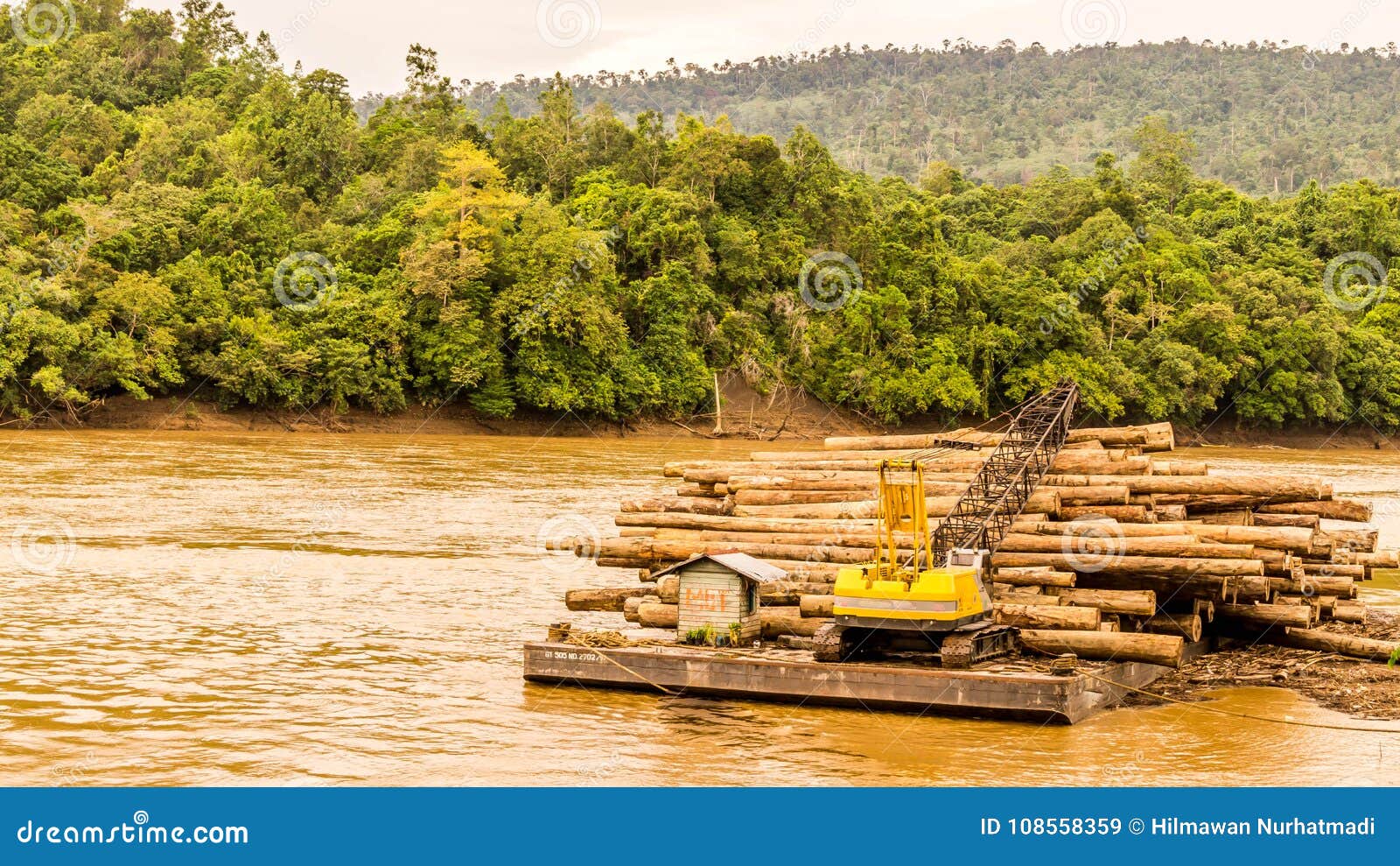 Heavy Machinery Loading Timber into the Barge in the River Stock Image ...