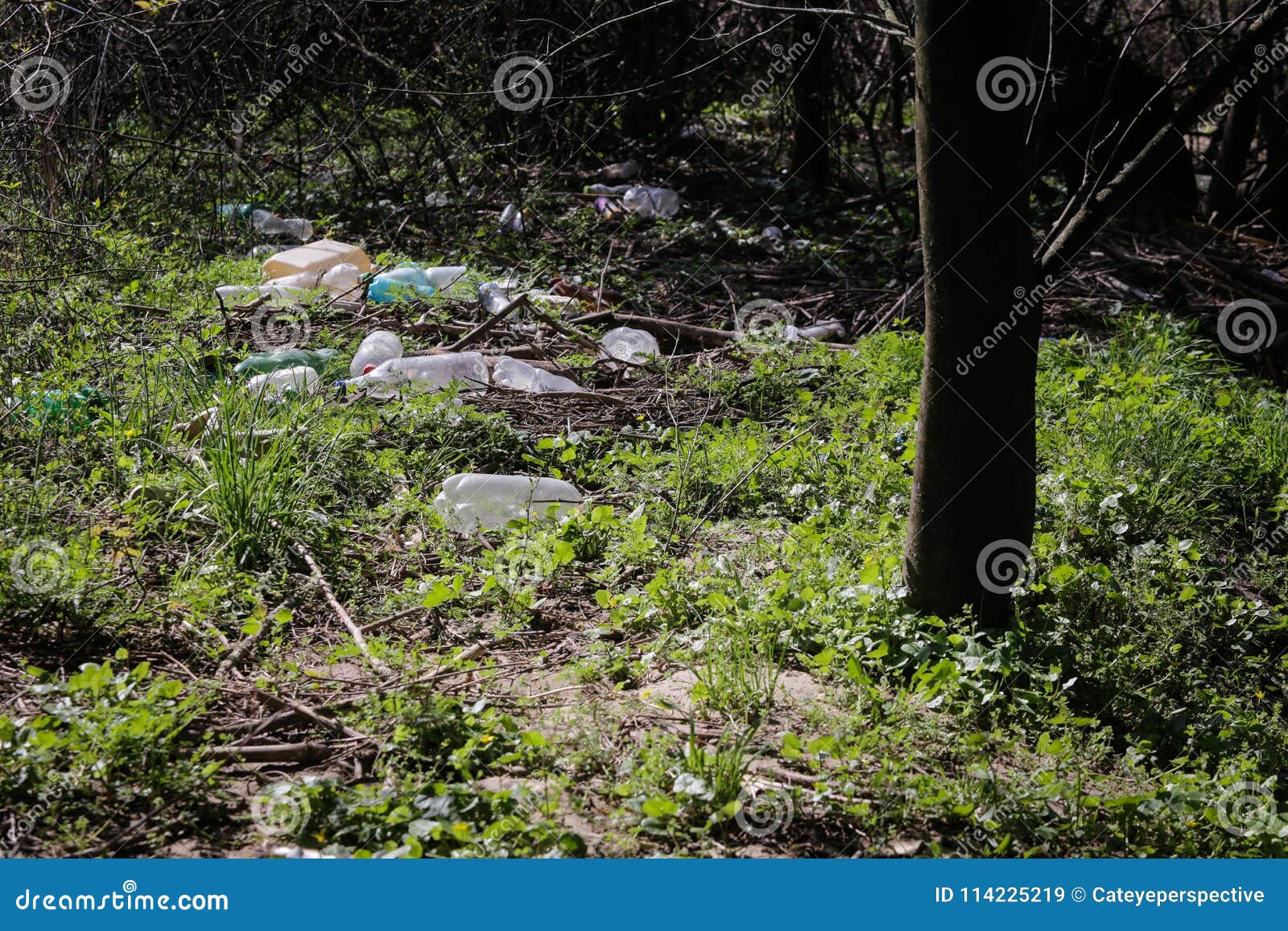 Heavy Polluted Water Stream with Domestic Garbage Stock Image - Image ...