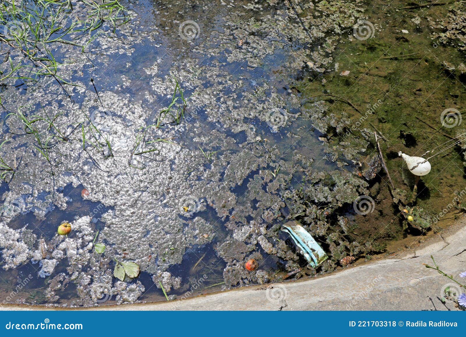 Heavy Pollution of Nature and Environment, Water Pollution Stock Photo ...