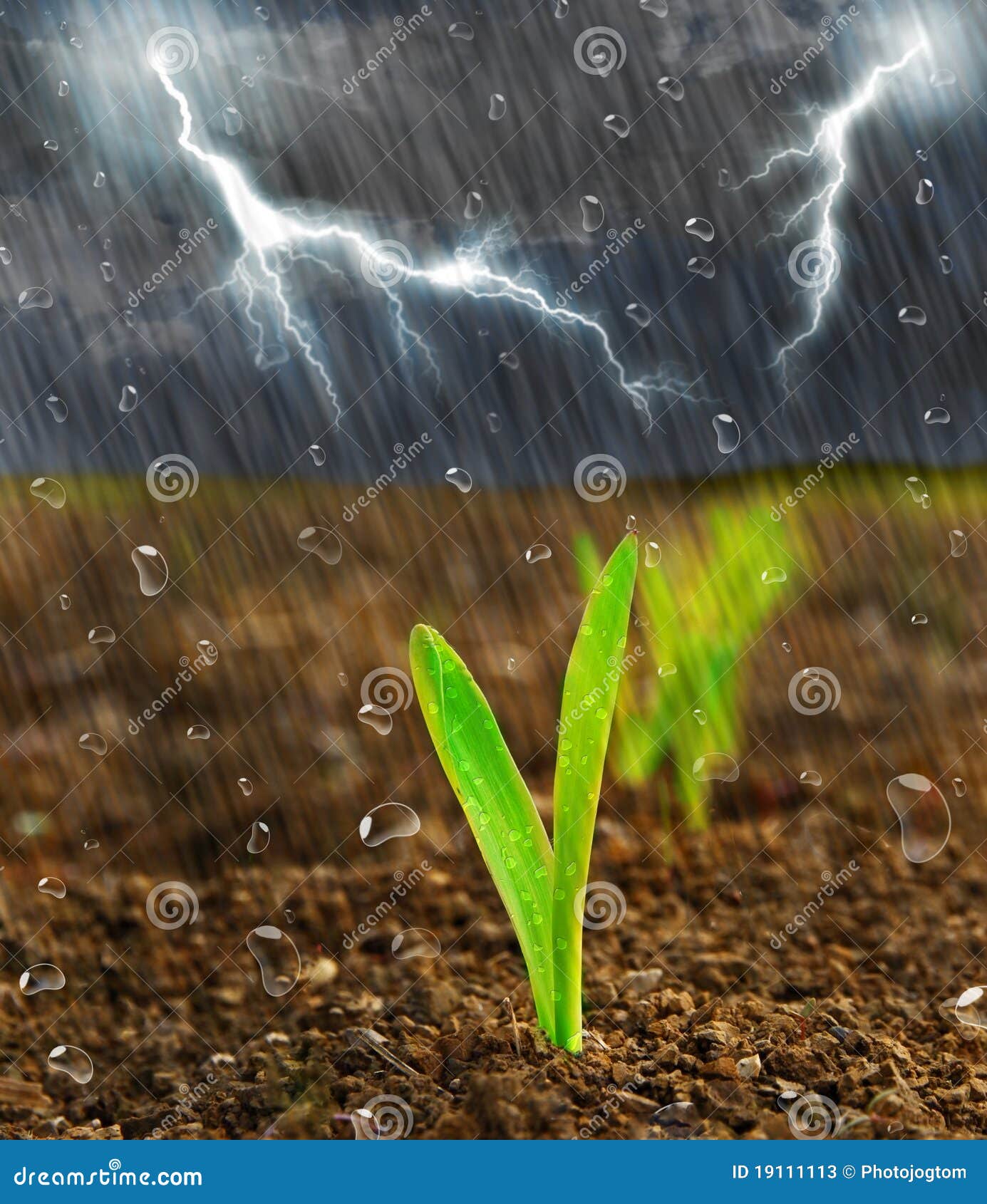 Heavy rain stock image. Image of clouds, agriculture - 19111113