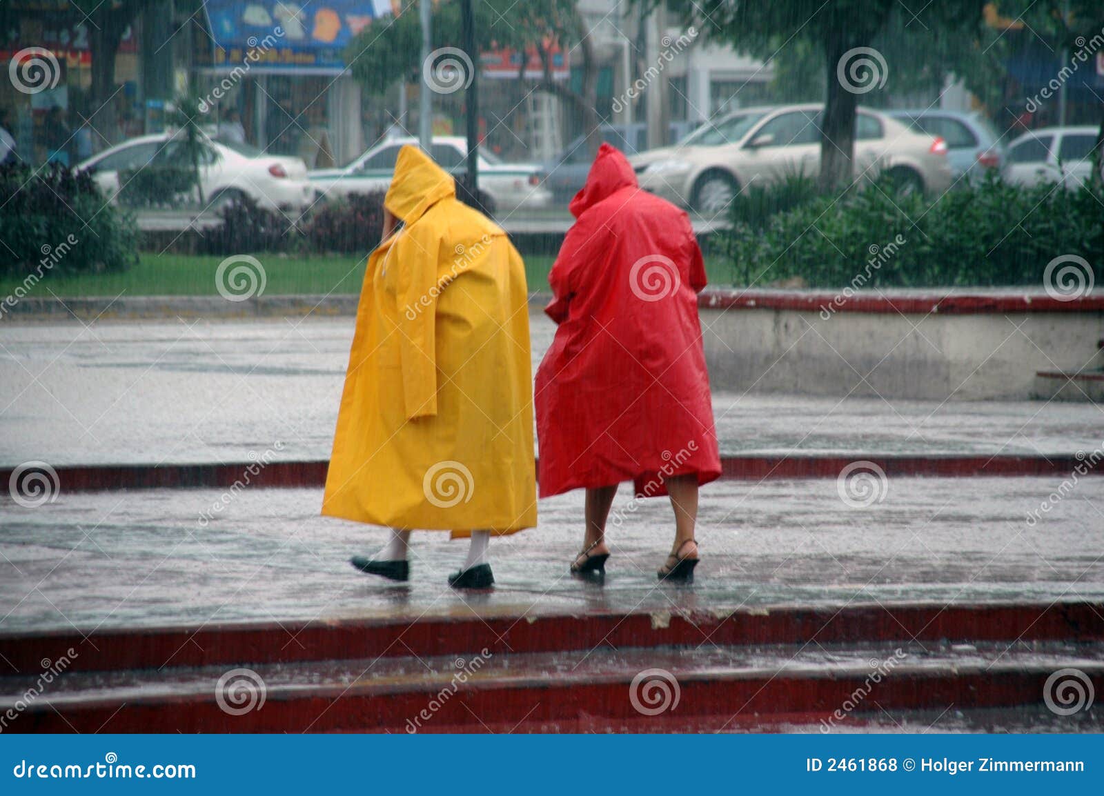 Heavy rain stock photo. Image of rain, protect, heavy - 2461868