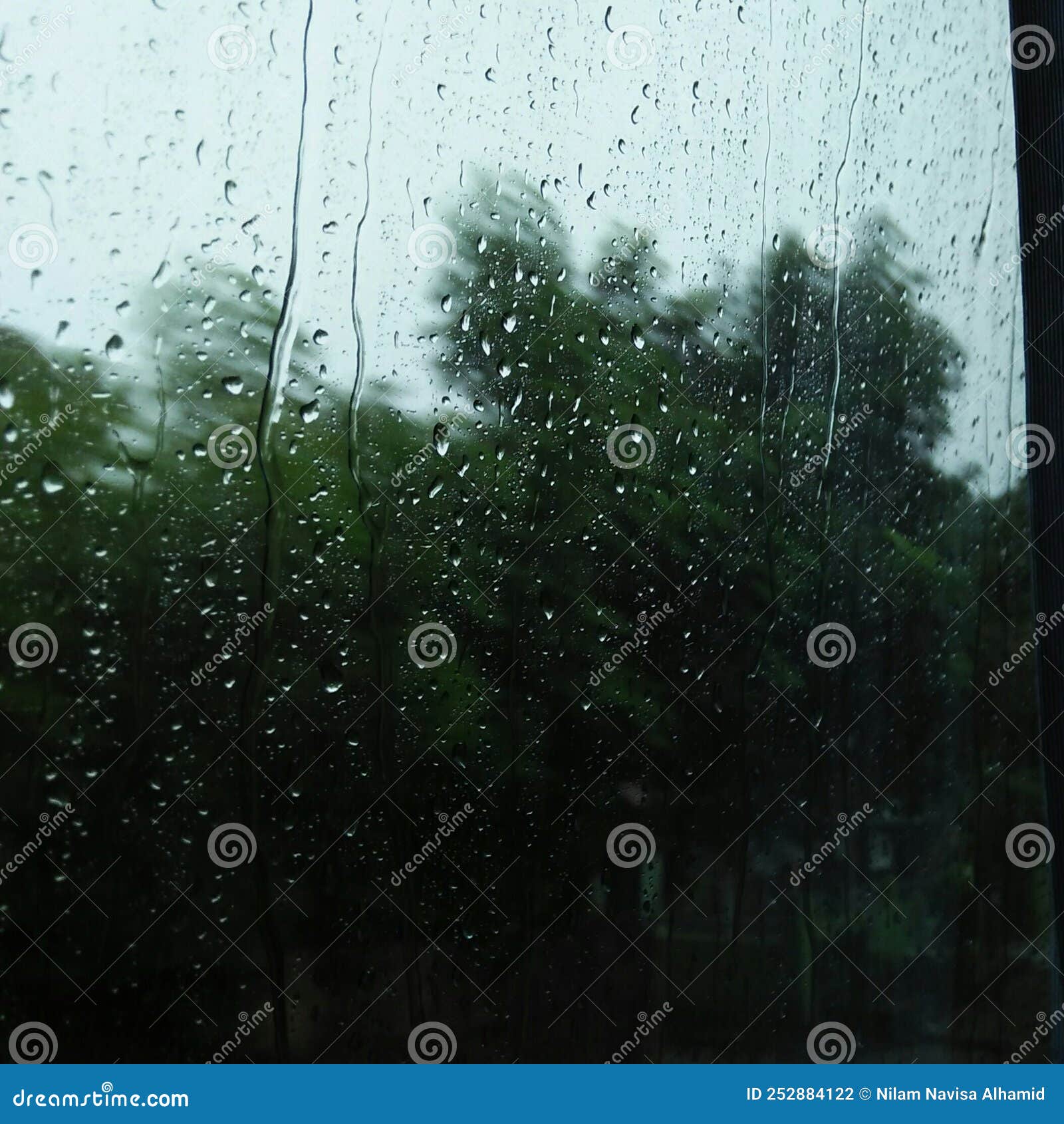 Heavy Rain Behind the Window Stock Photo - Image of heavy, branch ...