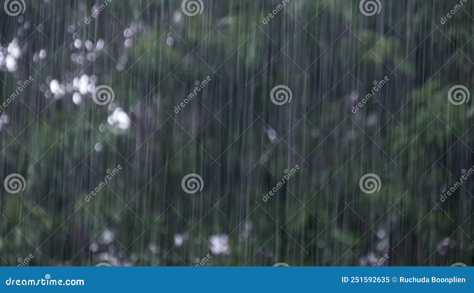 Heavy Rain with Blurred Trees Blowing in the Wind on Background. Stock ...