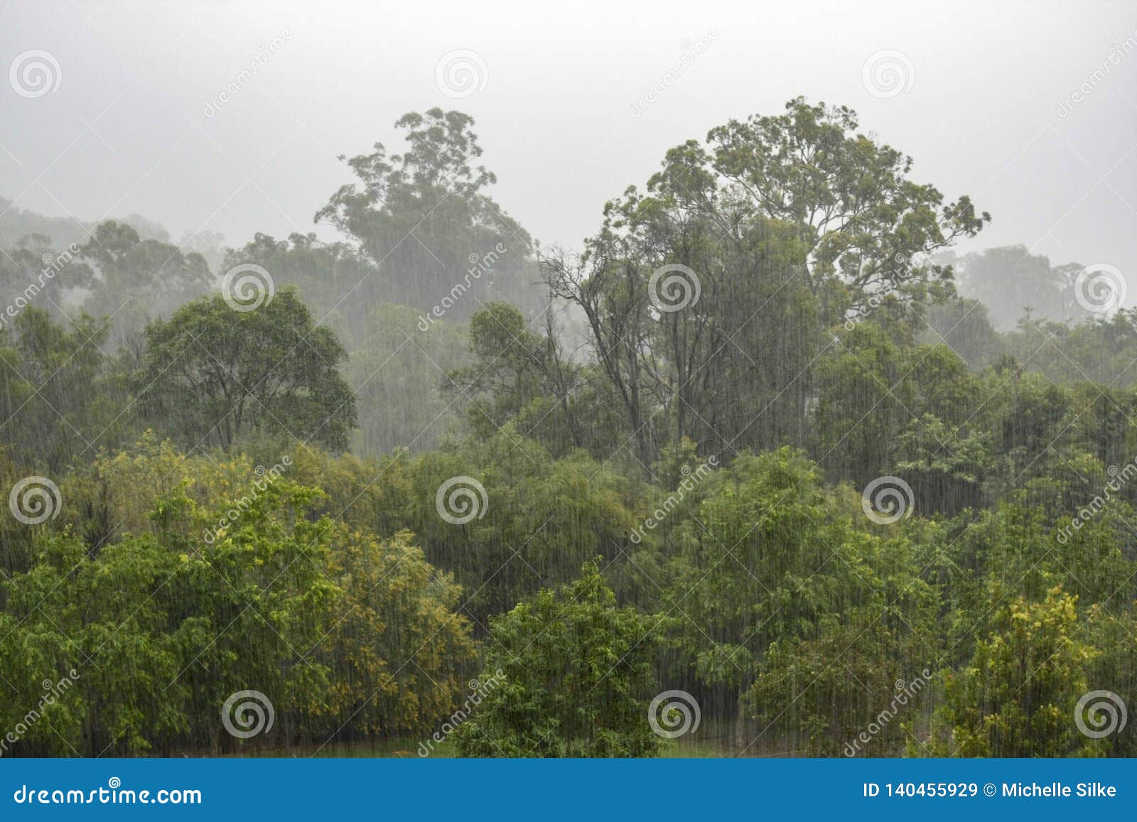 Heavy Rain Coming Down on Trees Stock Image - Image of meteorology ...
