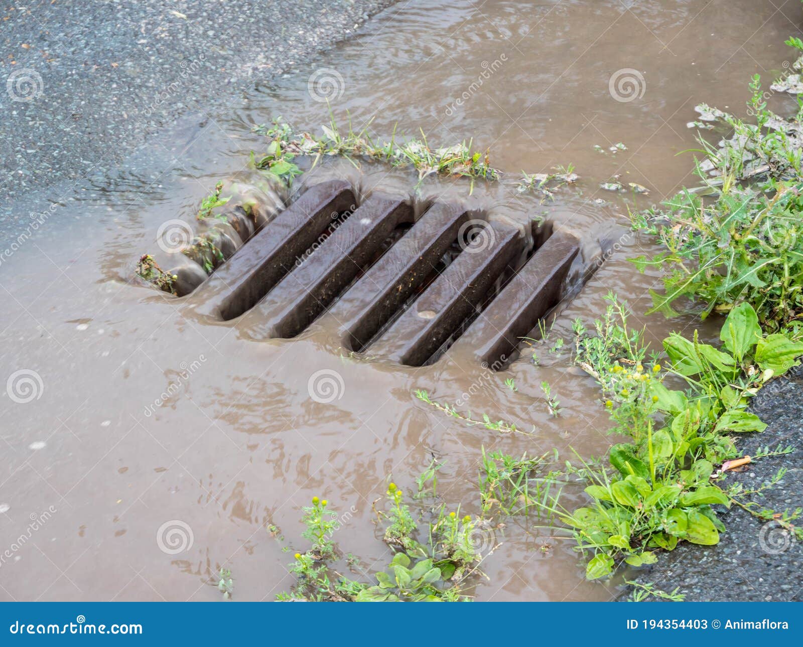 Rain Drain Stock Photography | CartoonDealer.com #39544148