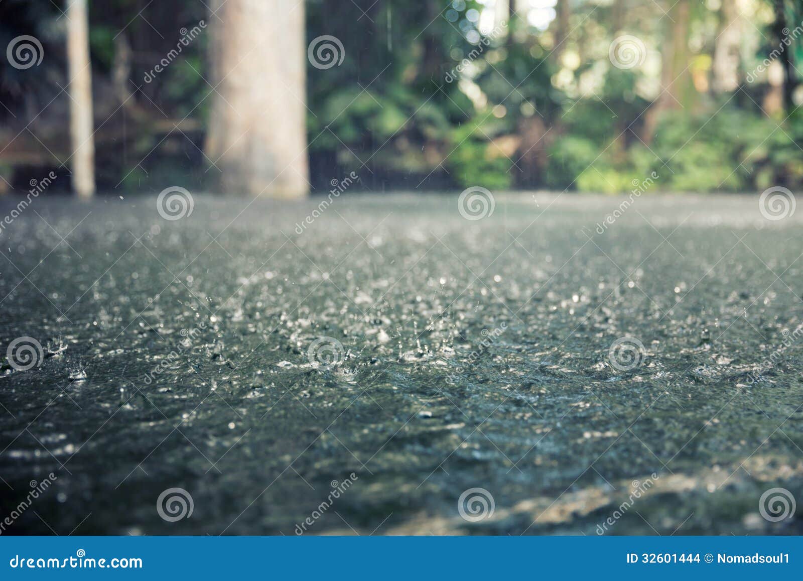 Heavy Rain Causes Flood Which Wash Away Agricultural Fields And Soil ...
