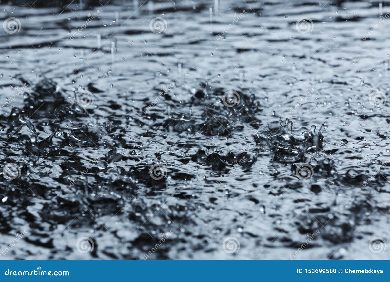 Heavy Rain Falling Down into Puddle Stock Photo - Image of fall ...