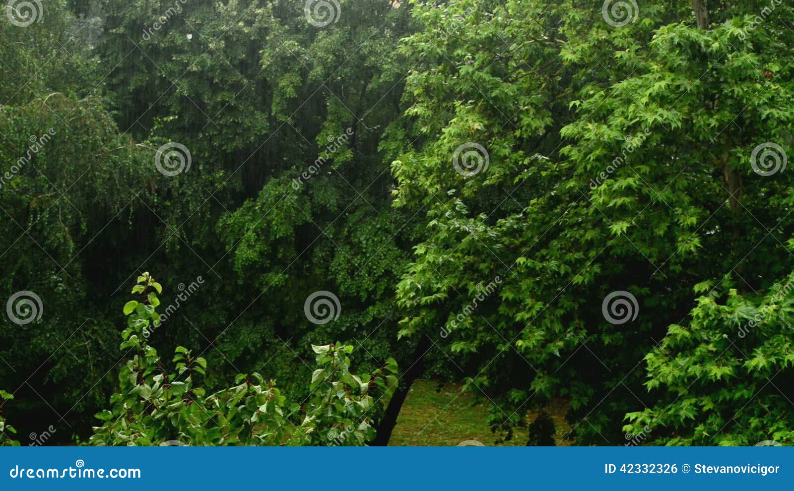 Heavy Rain Falling in the Park, Trees in the Background. Stock Footage ...