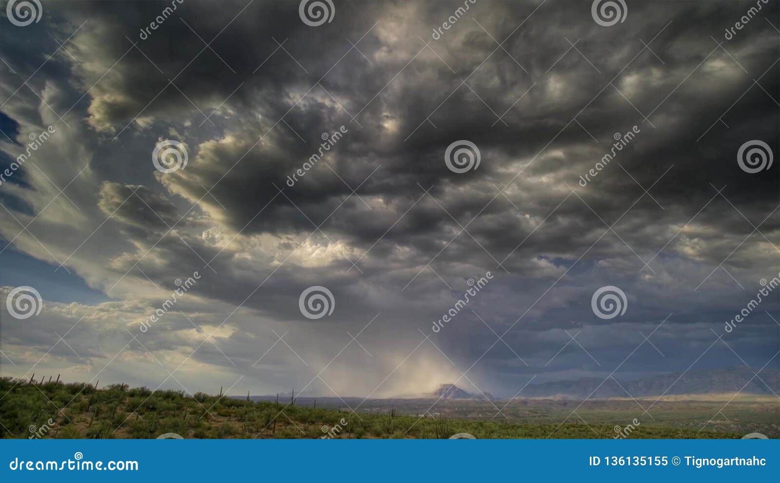 Heavy Rain Falls Over the Desert of Namibia Stock Image - Image of ...
