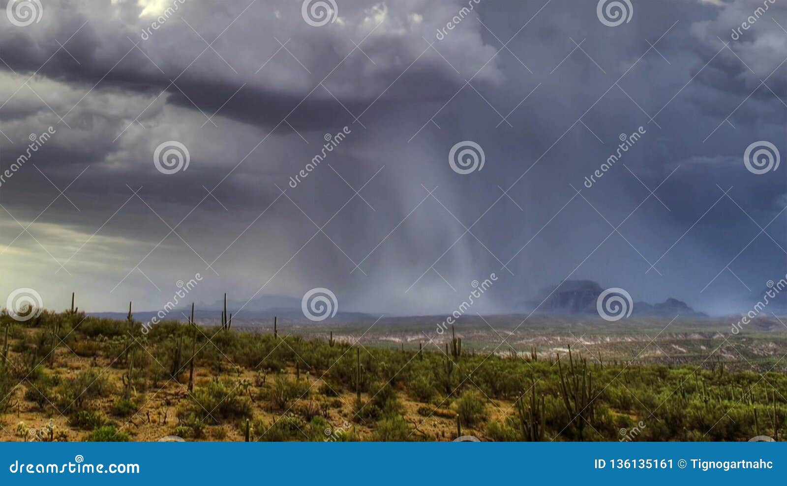 Heavy Rain Falls Over the Desert of Namibia Stock Image - Image of ...