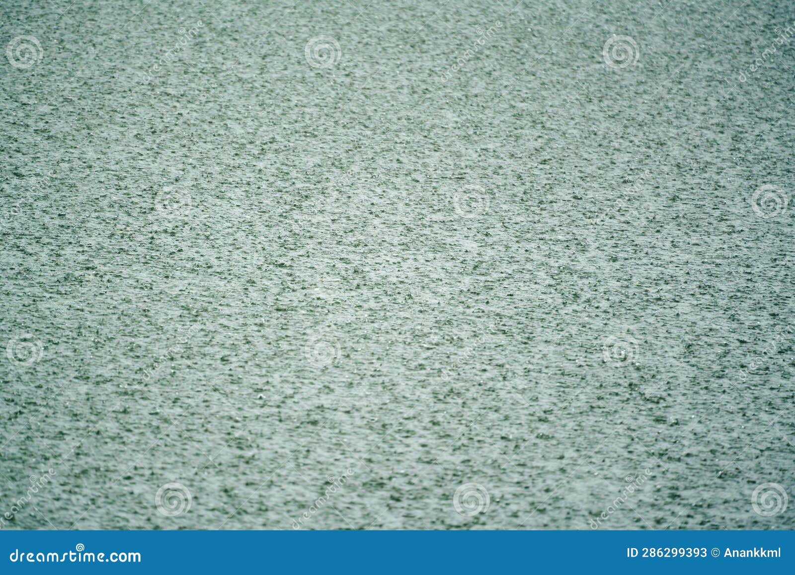 Rain Hitting the Water Surface Stock Image - Image of texture, raindrop ...