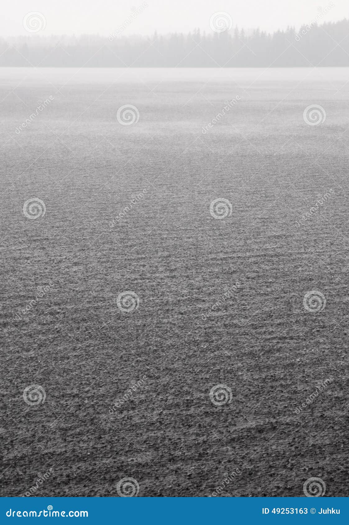 Heavy rain on lake surface stock image. Image of drop - 49253163
