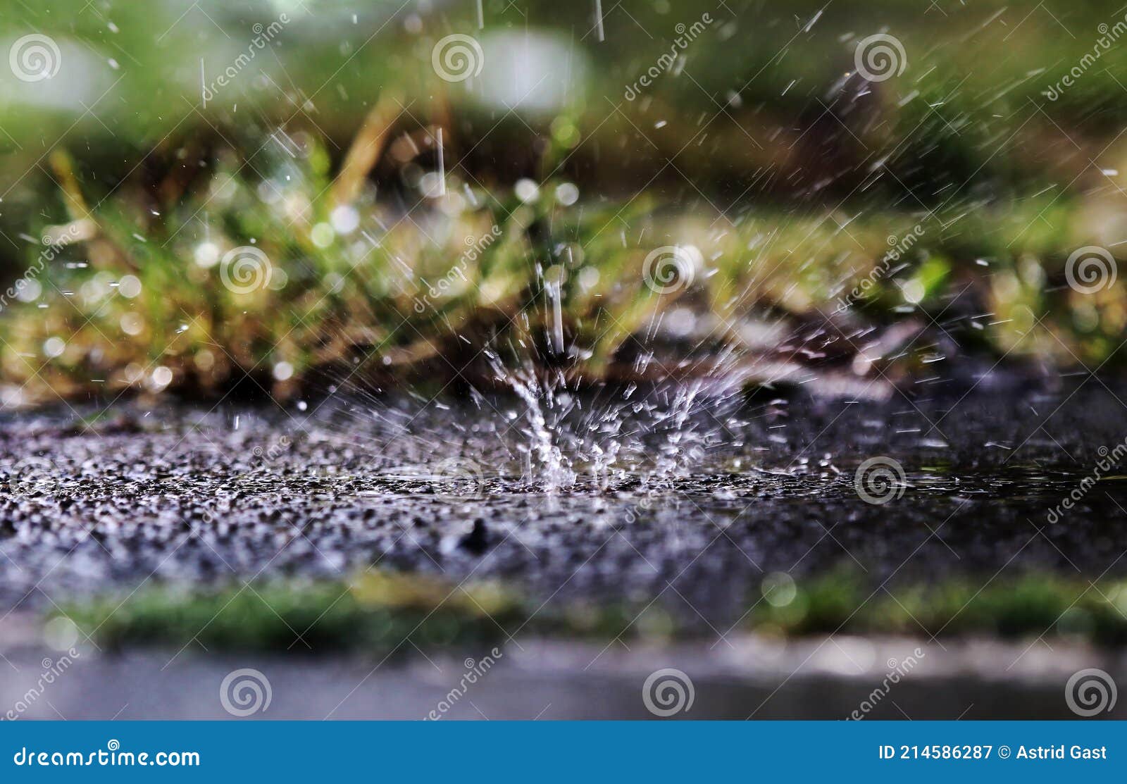 In Heavy Rain, Large Drops Fall Splashing on the Ground Stock Image ...