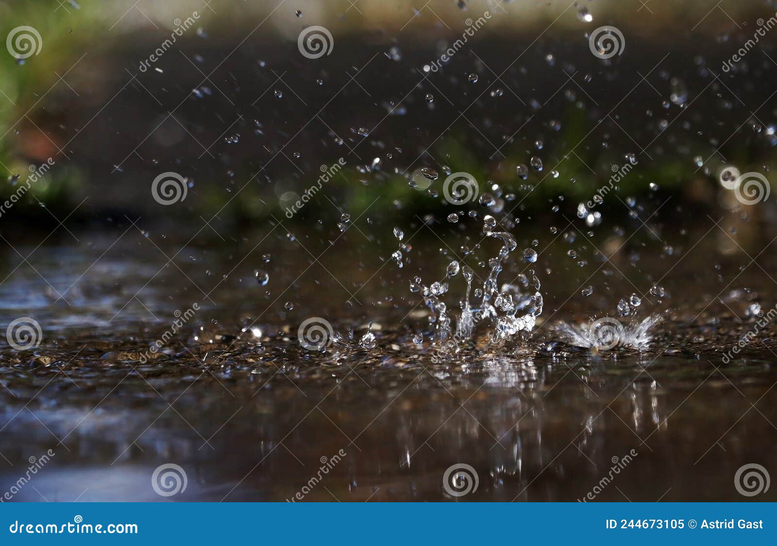 In Heavy Rain, Large Drops Fall Splashing on the Ground Stock Image ...