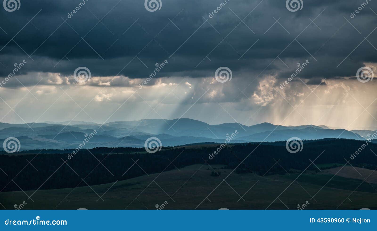 Heavy rain stock photo. Image of showers, stormy, environment - 43590960