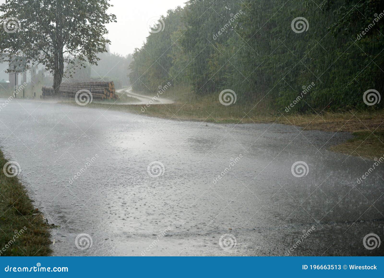 Heavy Rain Overflowing the Street Stock Image - Image of drops, tree ...