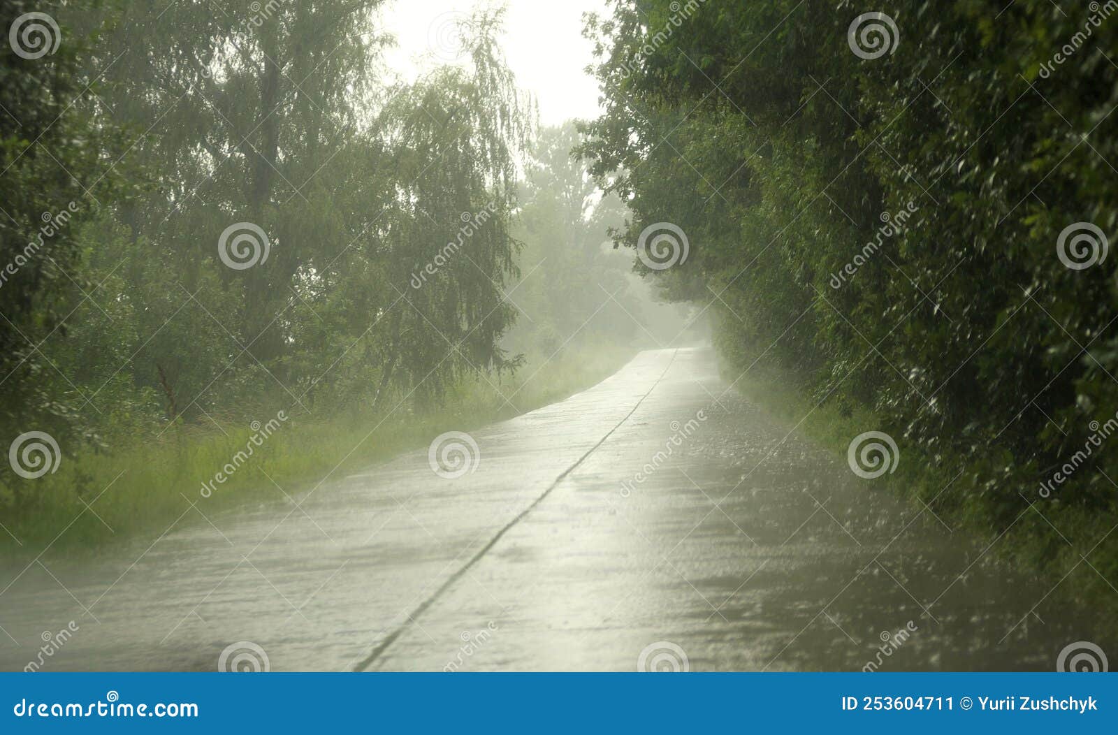 Heavy Rain and Strong Wind, Empty Forest Road Stock Image - Image of ...