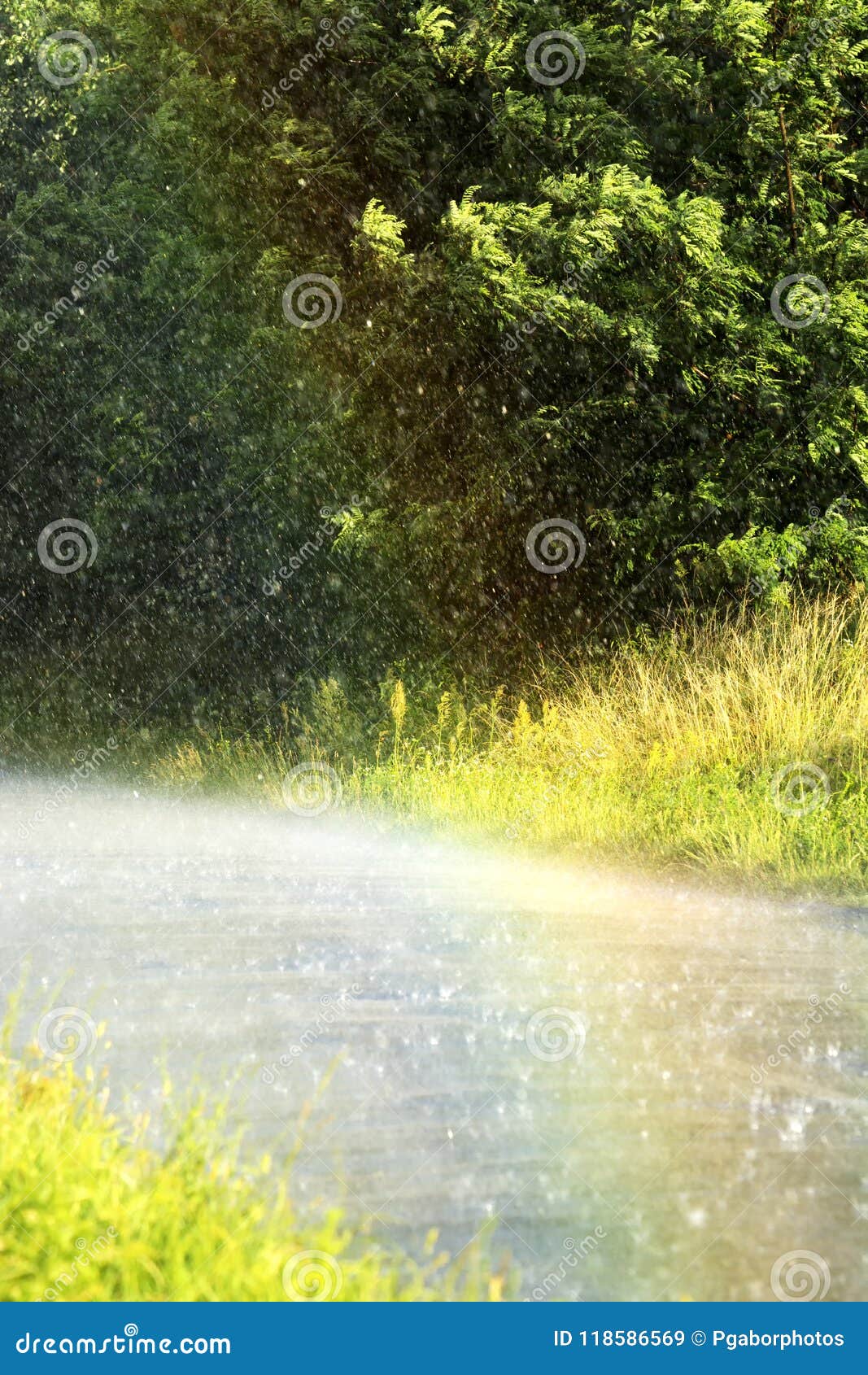 Heavy rain in summer time stock image. Image of light - 118586569