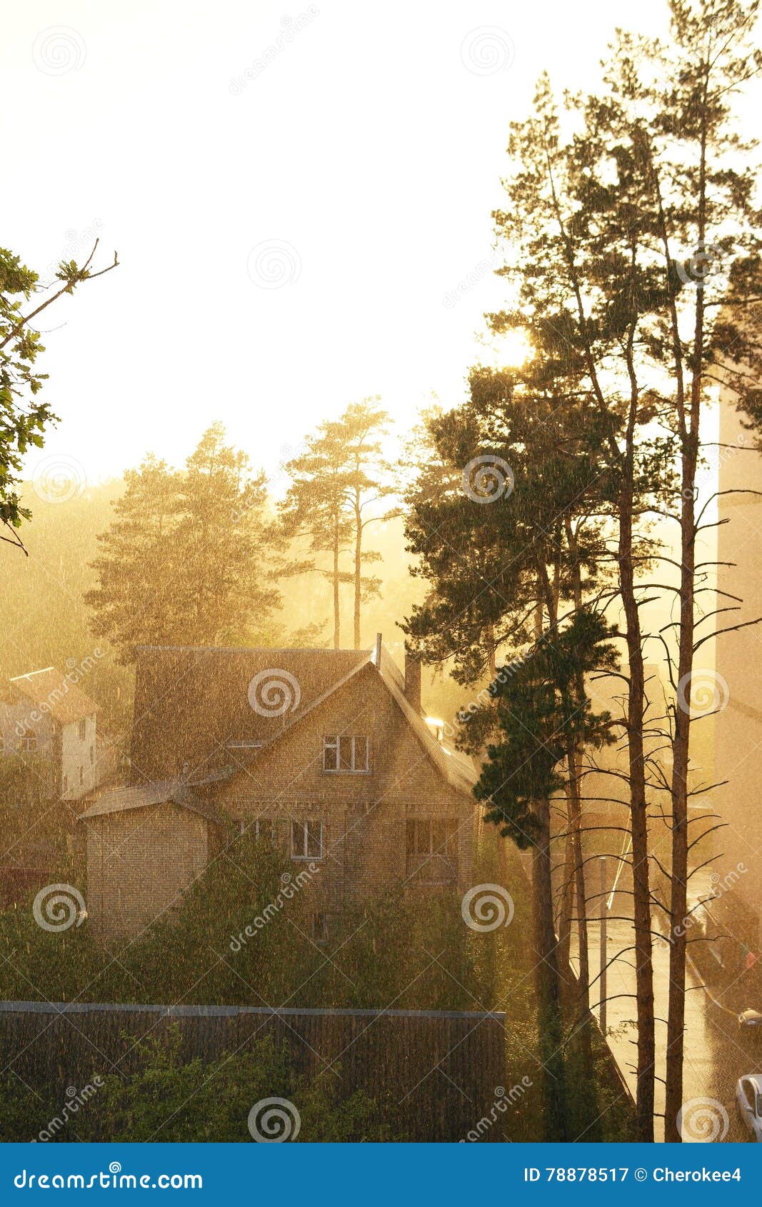 Heavy Rain on a Sunny Day. Backlight Stock Image - Image of nature ...