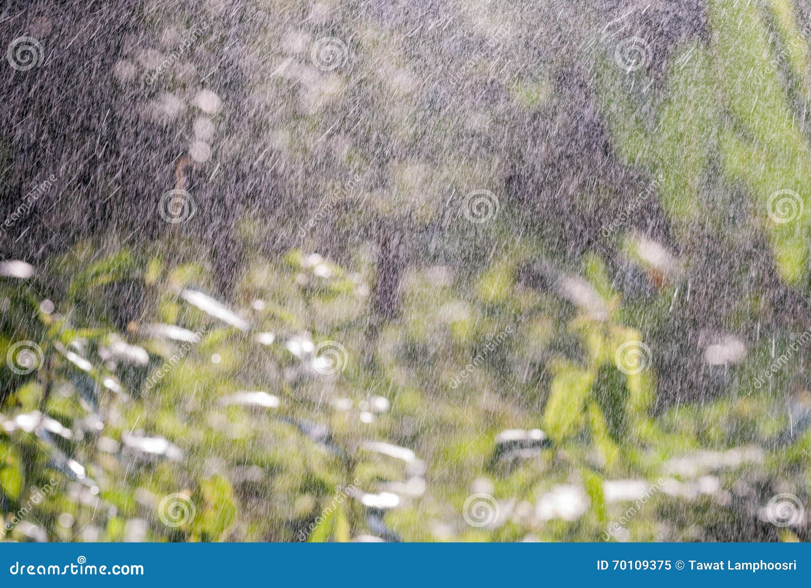 Heavy Rain stock image. Image of tropical, color, sunlight - 70109375