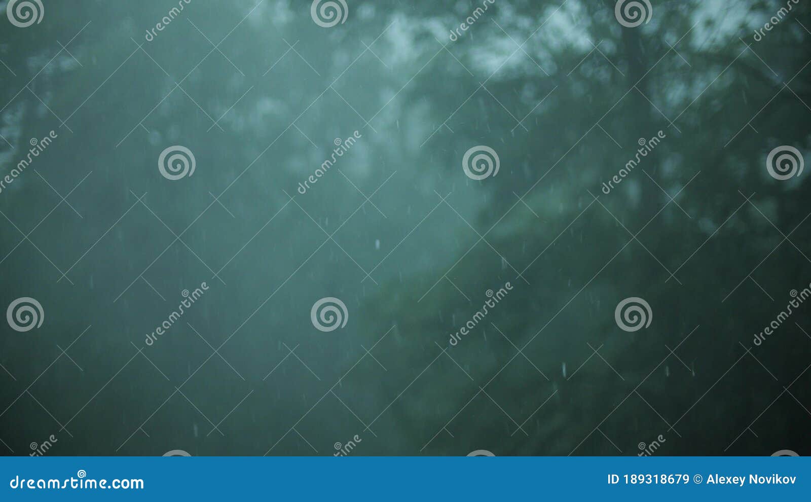 Heavy Rain and Wind in the Forest Stock Image - Image of heavy ...