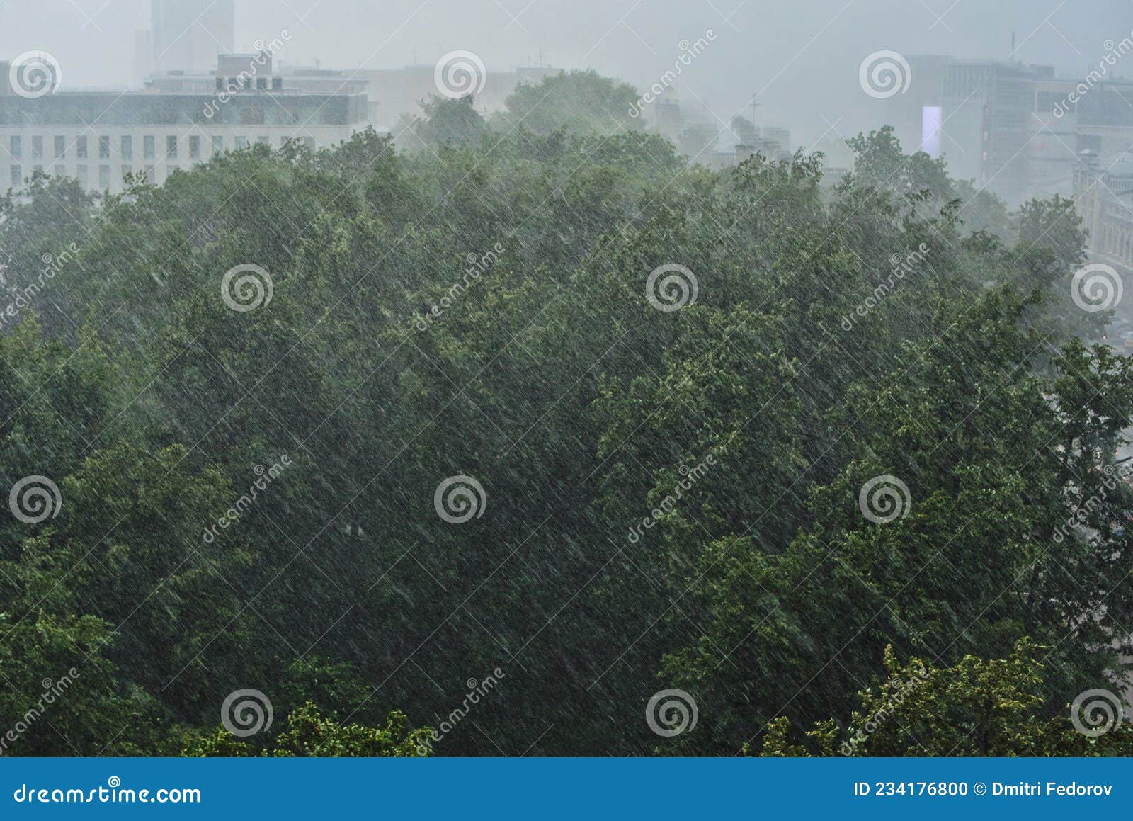 Heavy Rain and Wind, Raindrops and Swaying Trees in the Park Stock ...