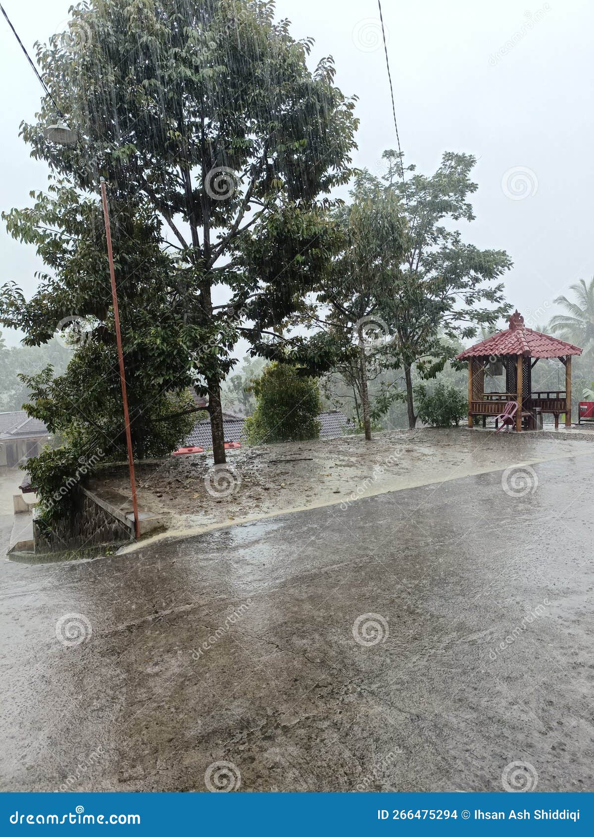 Heavy Rain on the Yard stock photo. Image of asphalt - 266475294