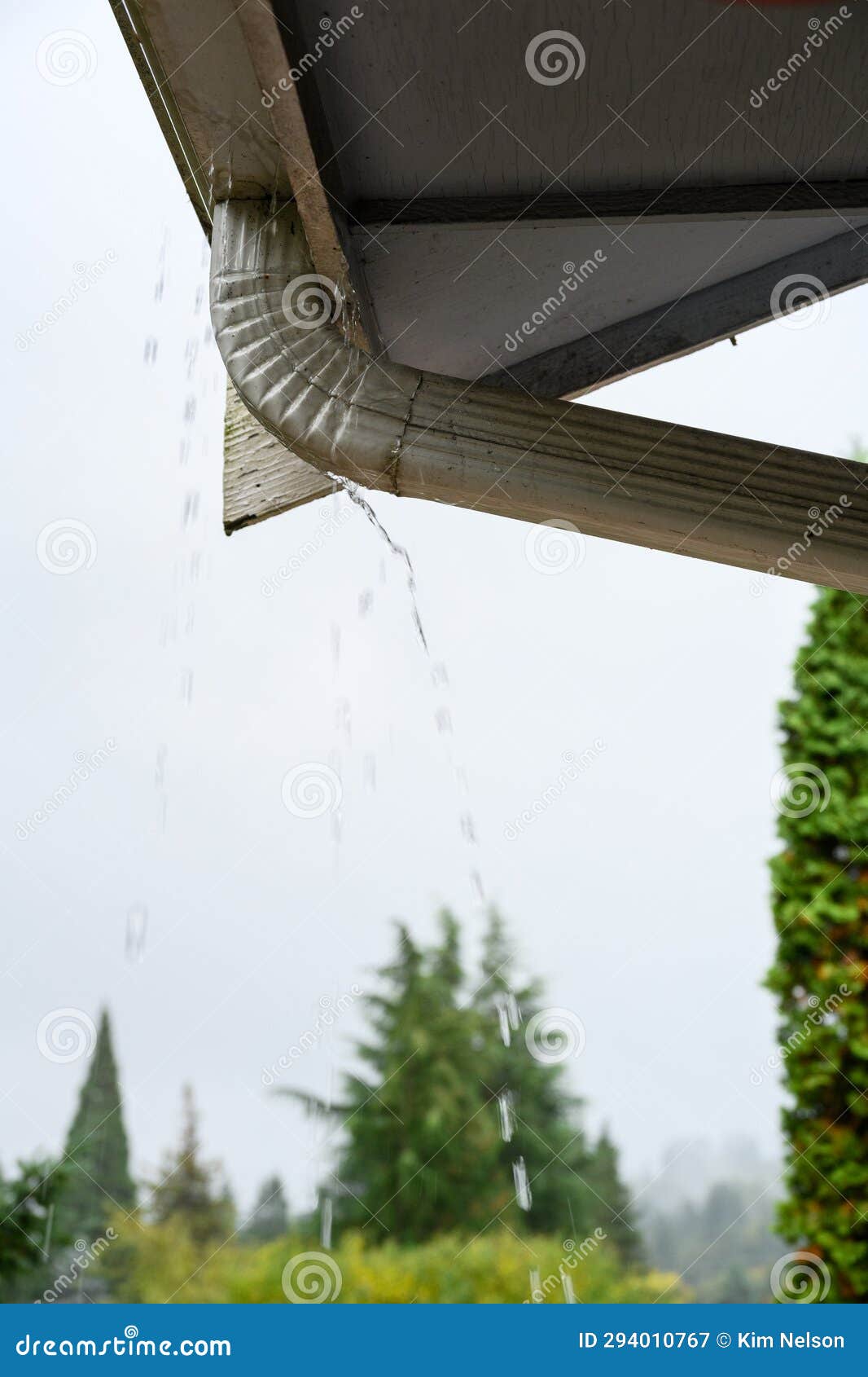 Heavy Rainfall Overflowing Roof Gutter and Not Going Down the Downspout ...