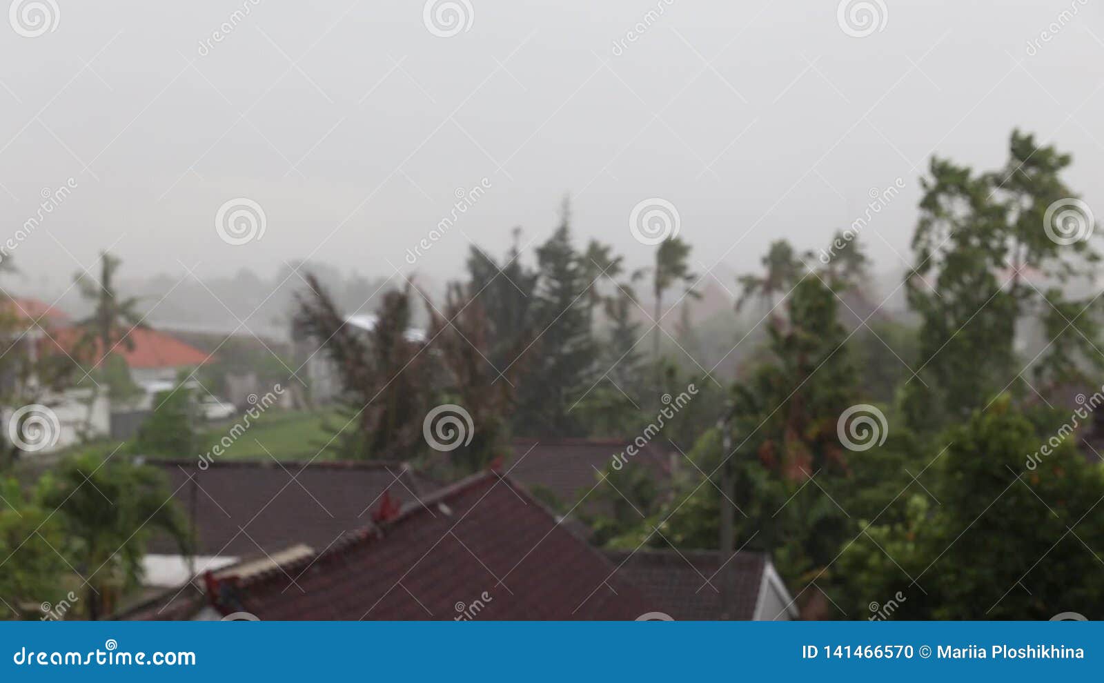 Heavy Raining is Going in the Tropical Village in Bali. Stock Footage ...