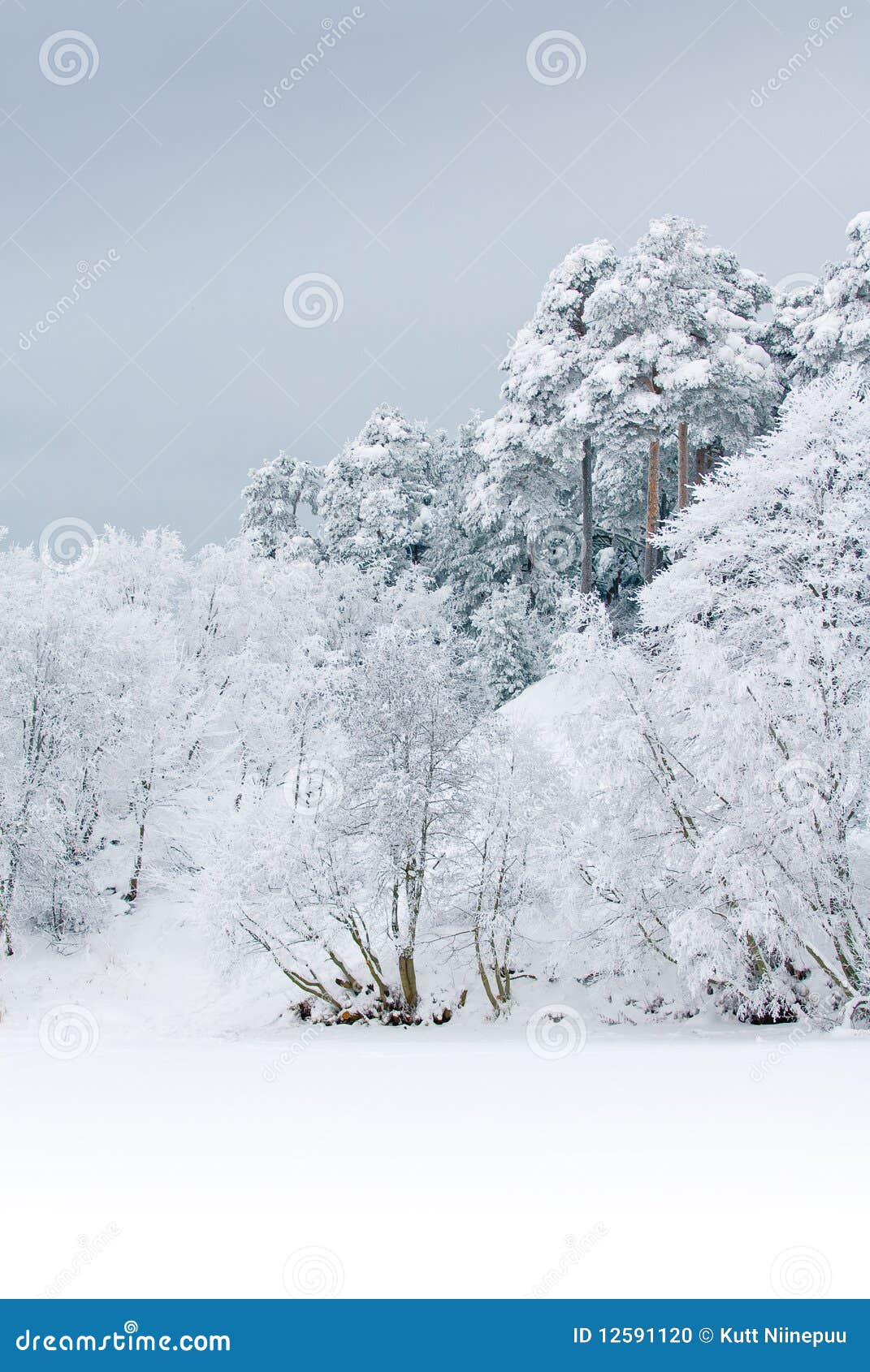 Heavy snow stock photo. Image of snowy, view, overhead - 12591120