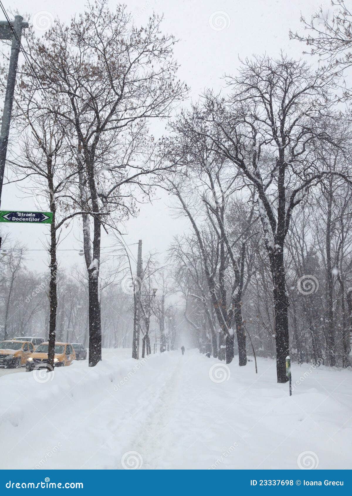 Heavy snow editorial stock photo. Image of weather, covered - 23337698
