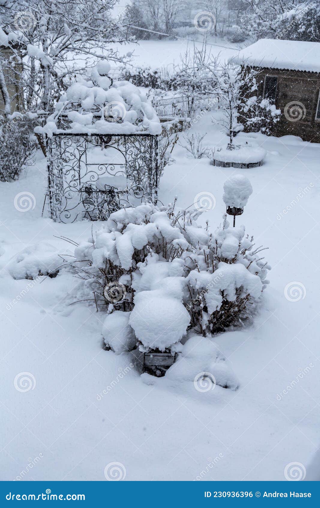 Heavy Snow Fall in Winter stock photo. Image of frost - 230936396