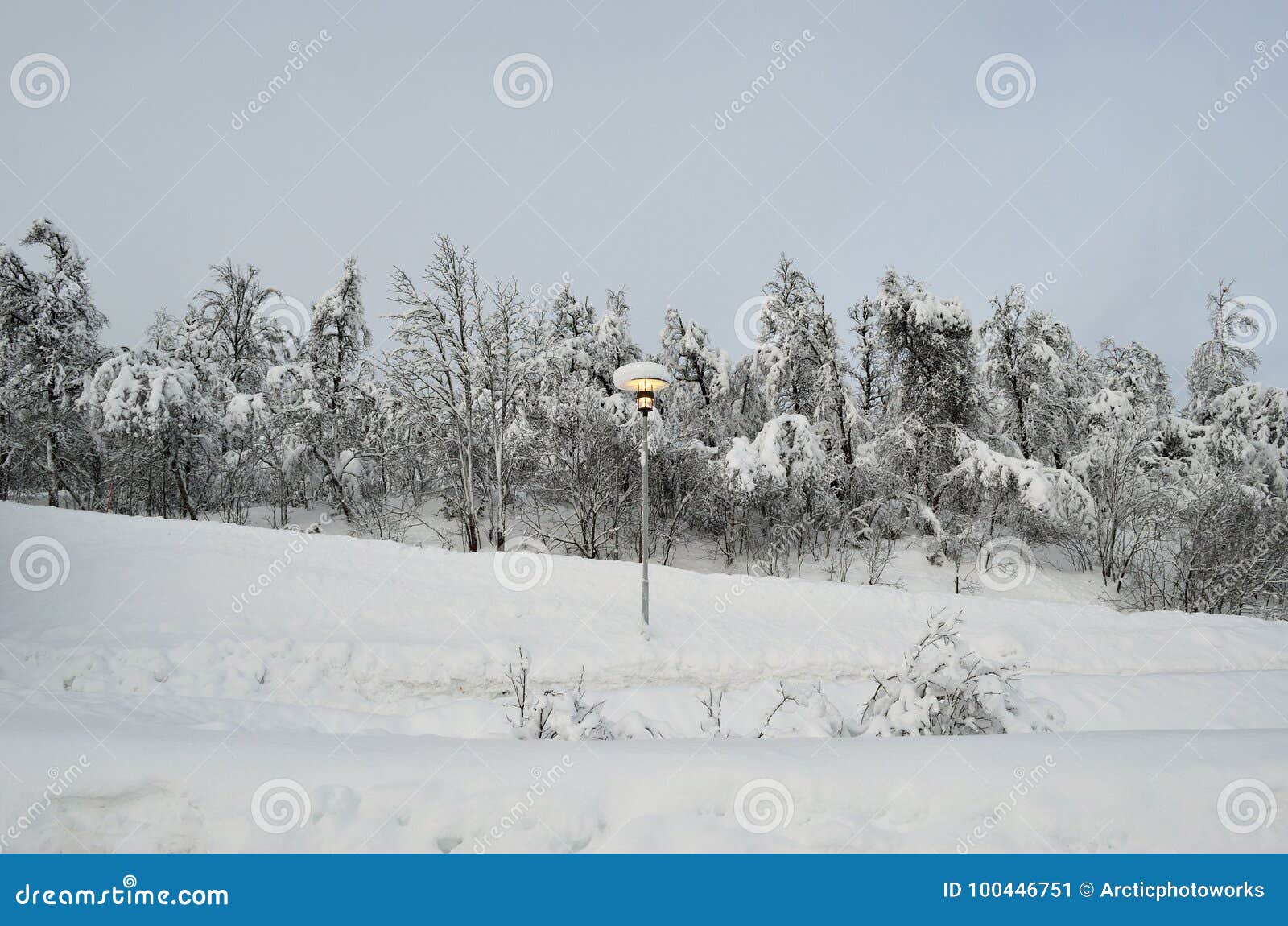 Heavy Snow on Forest with Light Pole Stock Image - Image of beauty ...