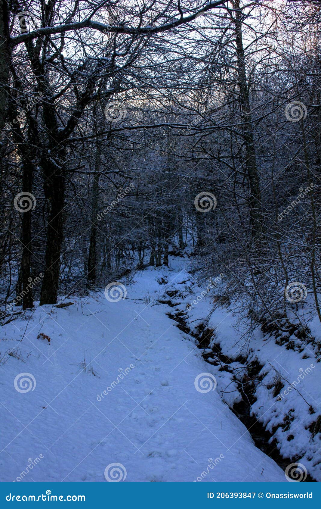 Heavy Snow Forest Mountains Scene Stock Image - Image of scane ...